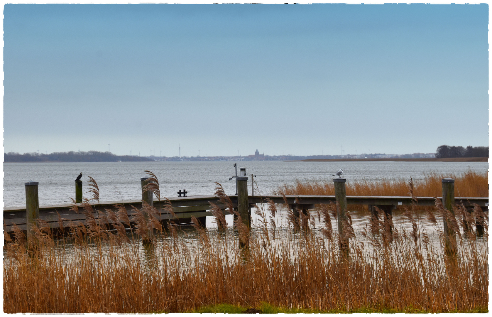 Bodden-Hafen Foto & Bild | winter, natur, landschaft Bilder auf ...