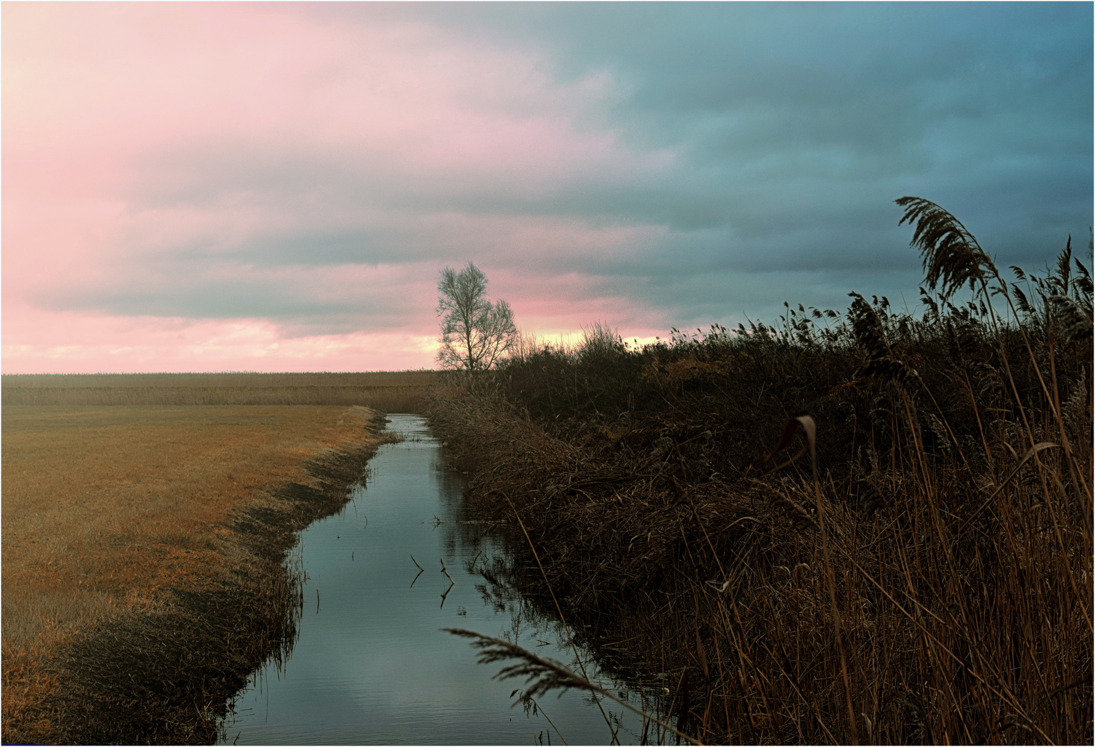 Bodden-Landschaft2 Foto & Bild | landschaften, winter, natur Bilder auf ...