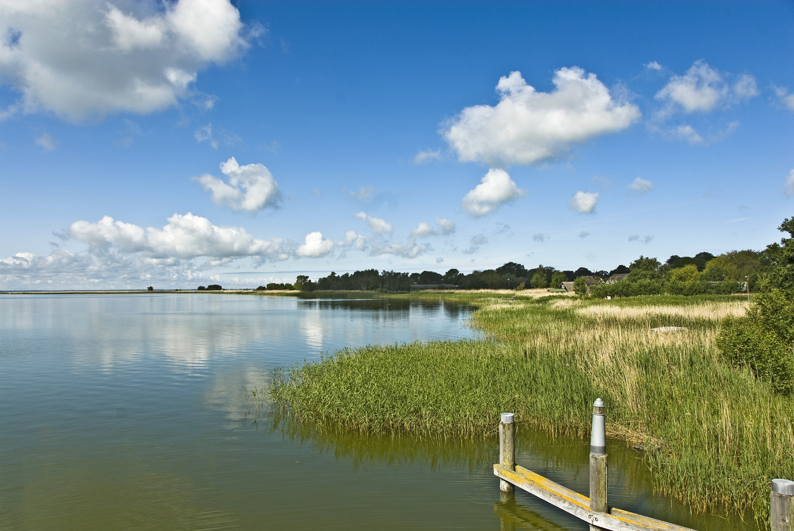 Boddenlandschaft bei Born auf der Halbinsel Fischland-Darß-Zingst Foto ...