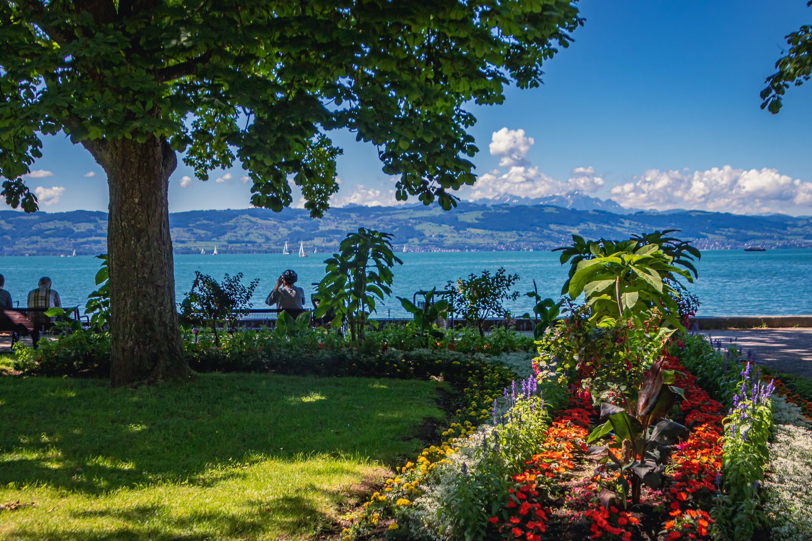 Bodensee 02 Foto & Bild | landschaft, fotos, natur Bilder auf fotocommunity