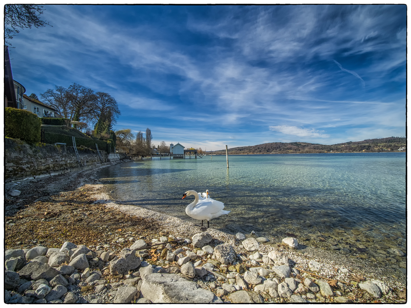 Bodensee Foto & Bild | tiere, wildlife, wild lebende vögel Bilder auf ...