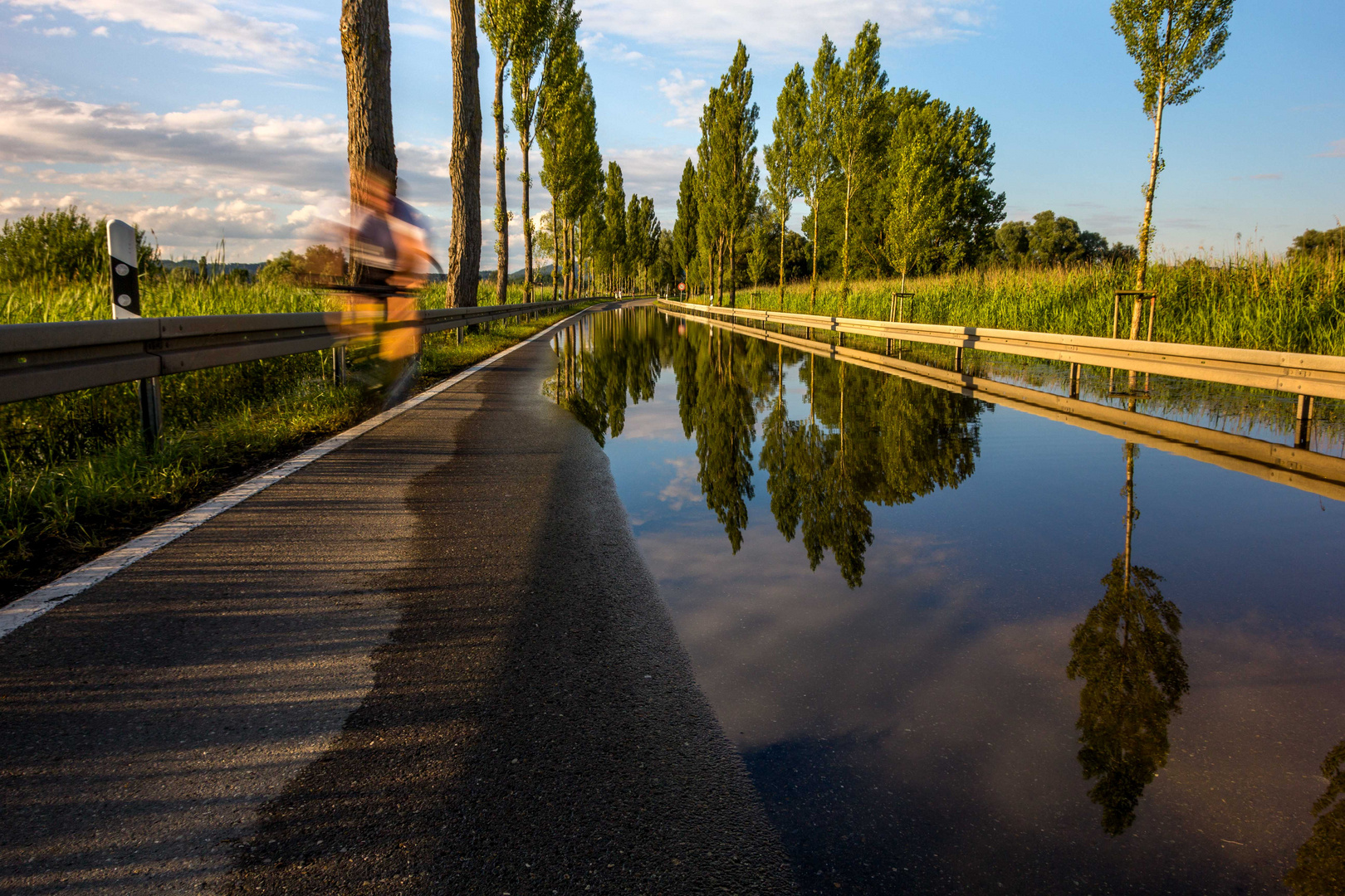 Bodensee bei Hochwasser zwischen Radolfzell und Moos Foto & Bild ...