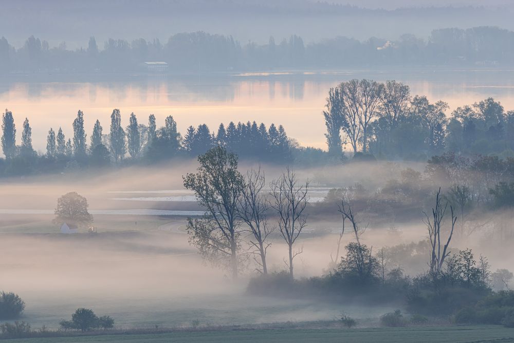 Bodenseenebel Foto & Bild | europe, landschaft, nebelstimmungen Bilder auf fotocommunity