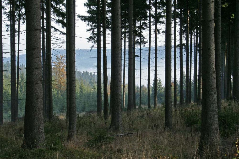 Böhmerwald Foto & Bild | landschaft, natur Bilder auf fotocommunity