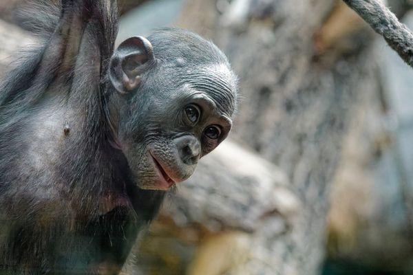 Frankfurt am Main Bilder & Fotos