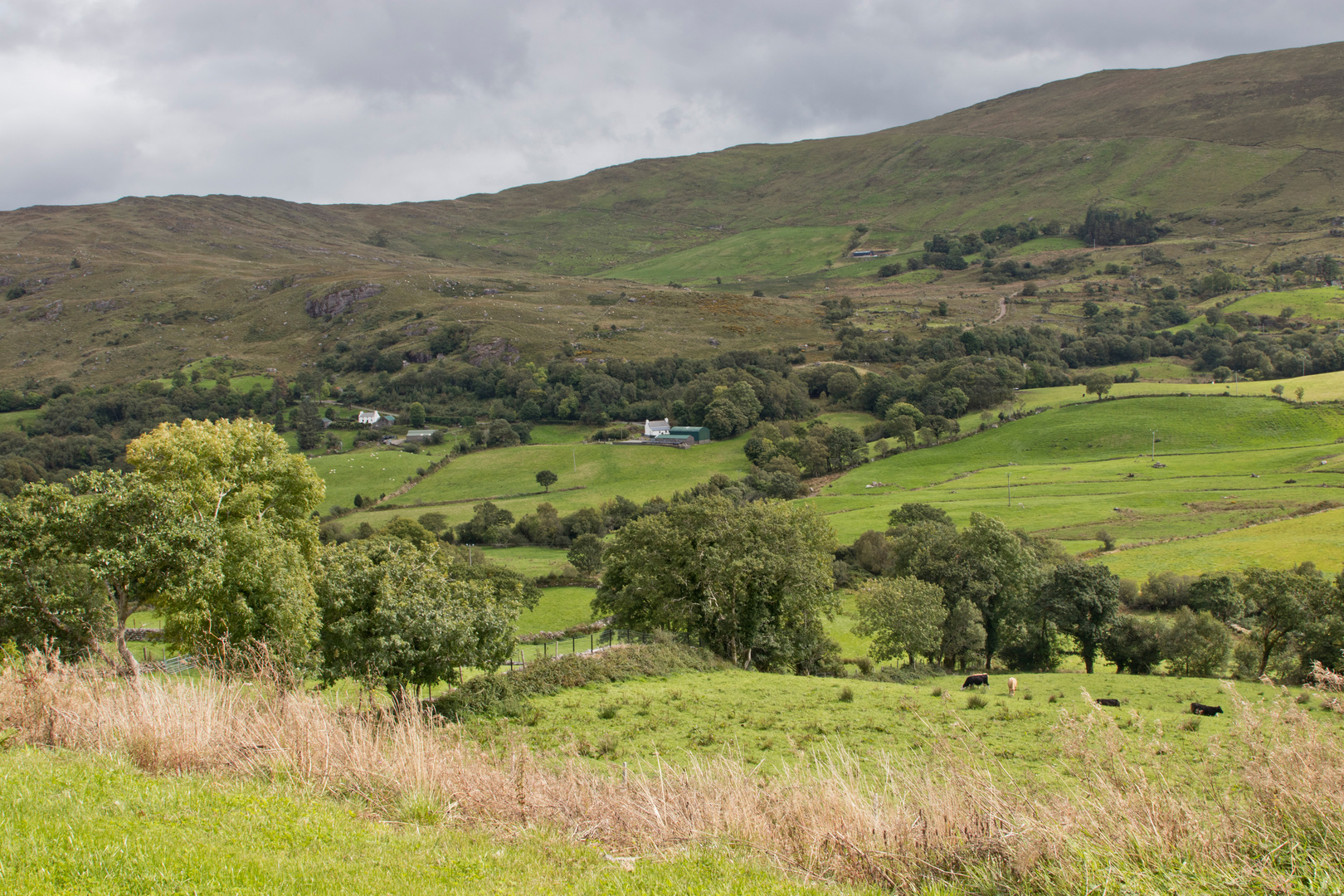 Bonane Foto & Bild | europe, united kingdom & ireland, ireland Bilder ...