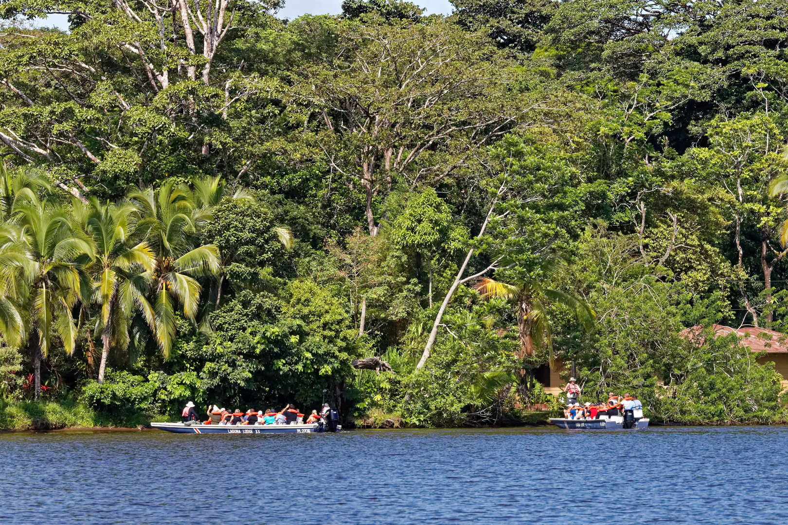 Bootsfahrt bei Tortuguero Foto & Bild | north america, central america ...