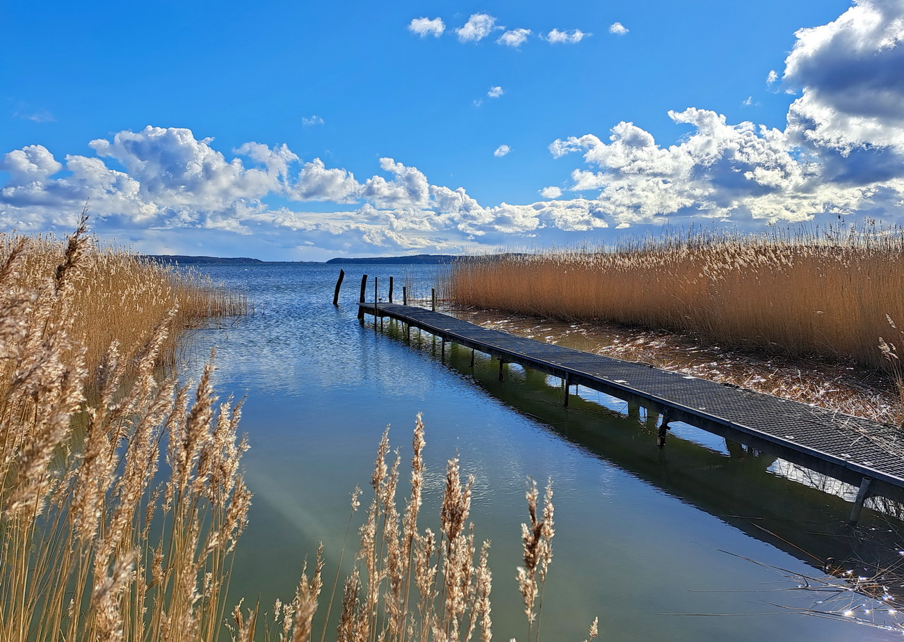 Bootssteg Foto & Bild | himmel, schilf, steg Bilder auf fotocommunity