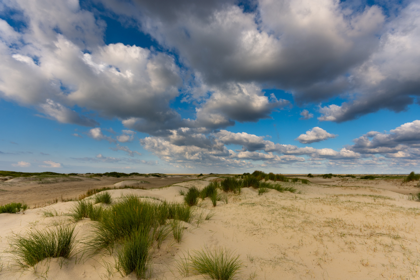 Borkum Foto & Bild | landschaft, meer & strand, dünen Bilder auf ...
