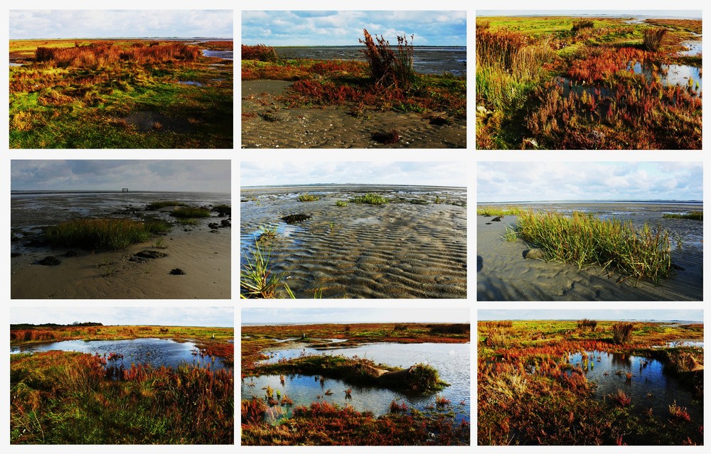 Borkum - Auch im Herbst ein Traum (2) - "Watt`n Meer" Foto & Bild ...