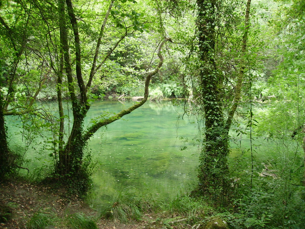 bosque encantado Imagen & Foto | paisajes, naturaleza Fotos de ...