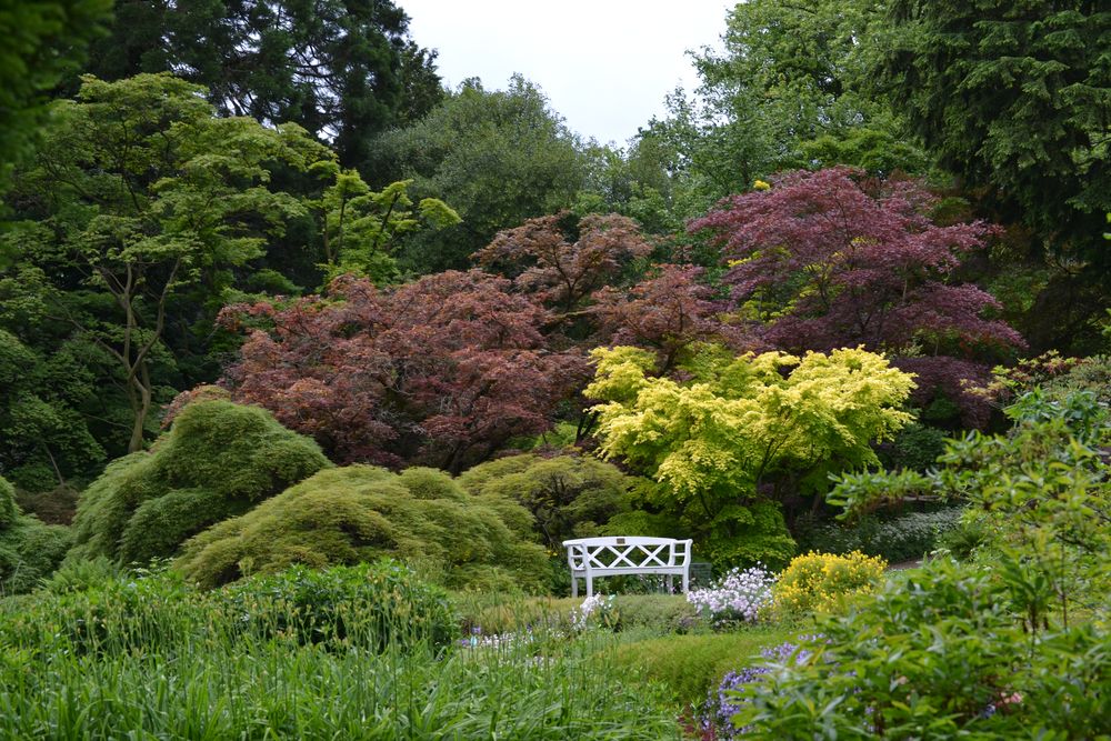 Botanische Garten Foto & Bild | pflanzen, pilze & flechten, bäume ...