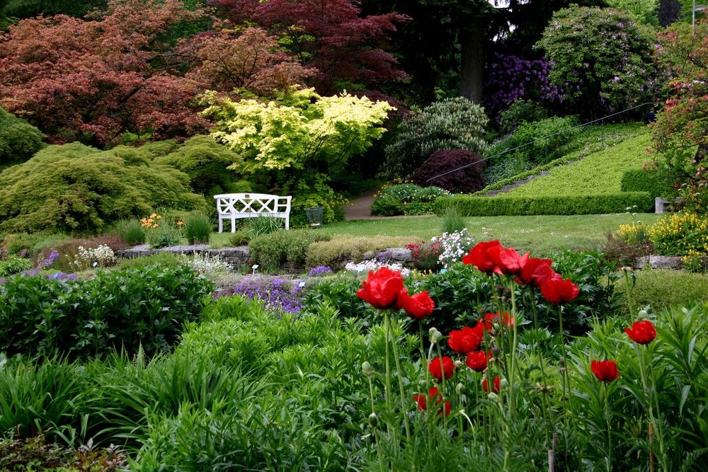 Botanischer Garten Foto & Bild | landschaft, garten- & parklandschaften ... Botanischer Garten Foto & Bild | landschaft, garten- & parklandschaften ...
