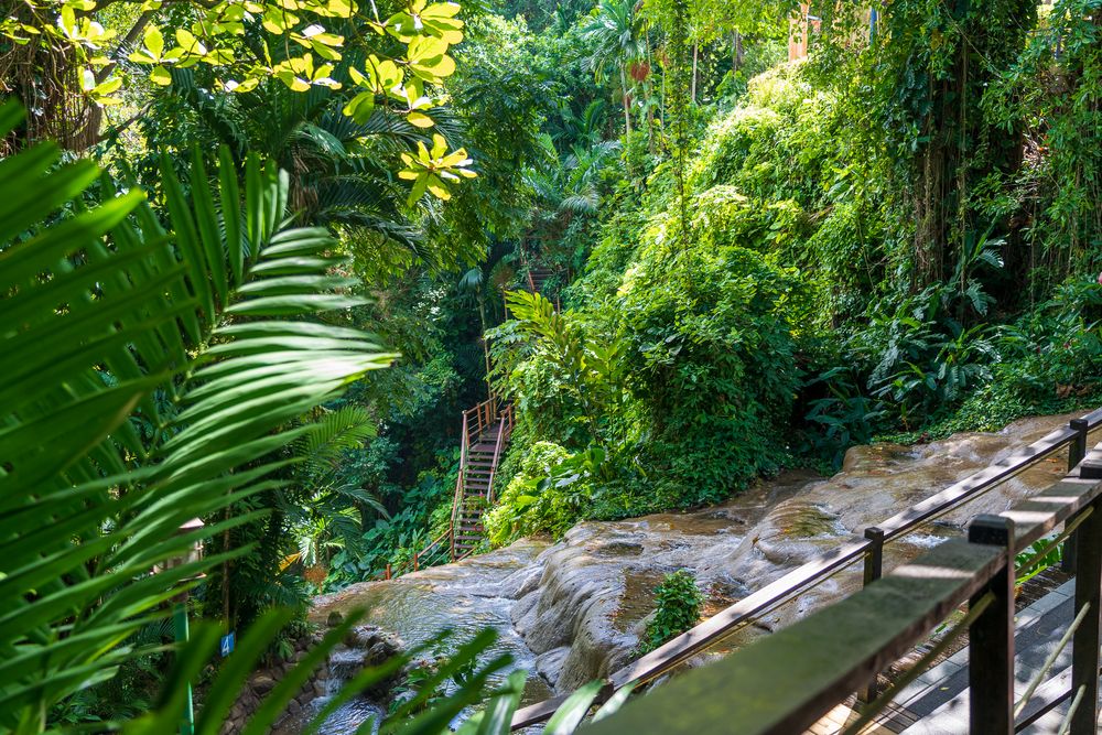 Botanischer Garten in Ocho Rios Foto & Bild | landschaft, wege und ...