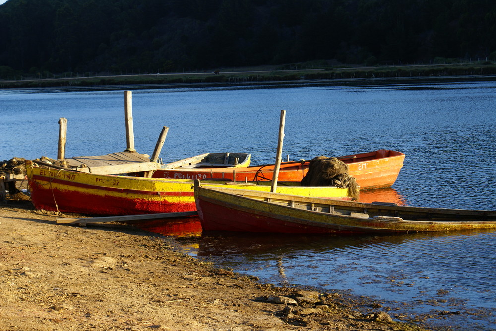 Botes Imagen & Foto | naturaleza diversa , naturaleza Fotos de ...