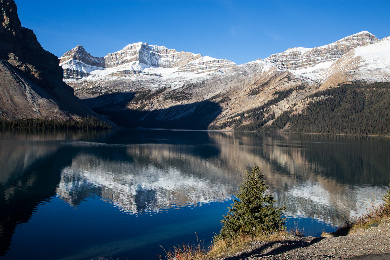 Bow Lake Foto & Bild | north america, canada, the west Bilder auf ...