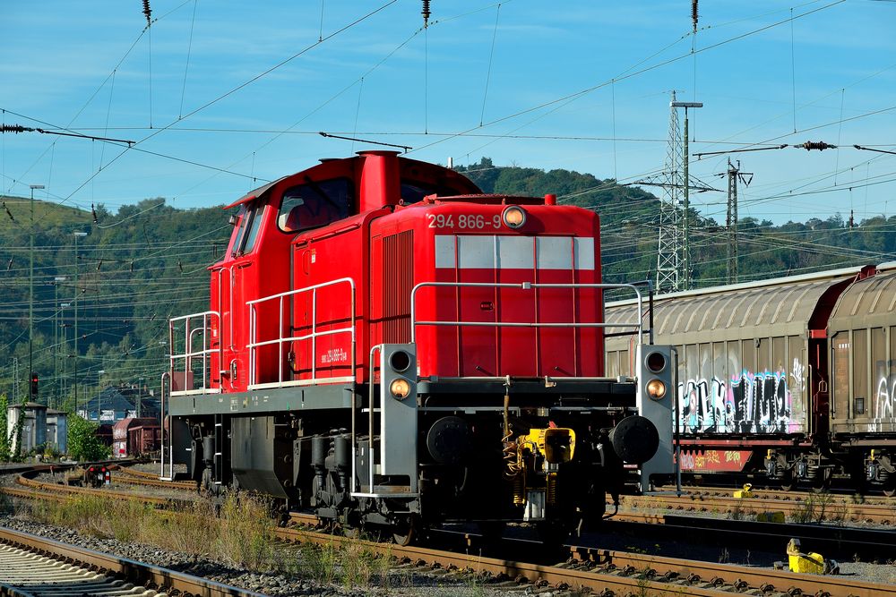 Br 294 866-9 wartet auf ihren nächsten Einsatz Foto & Bild | dampf-, diesel- und e-loks ...