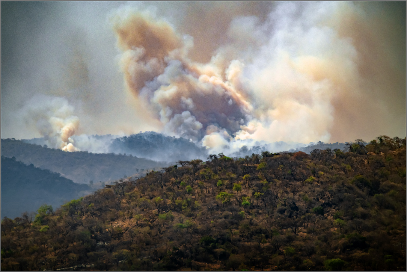 Brandrodung Foto & Bild | world, natur, umwelt Bilder auf fotocommunity