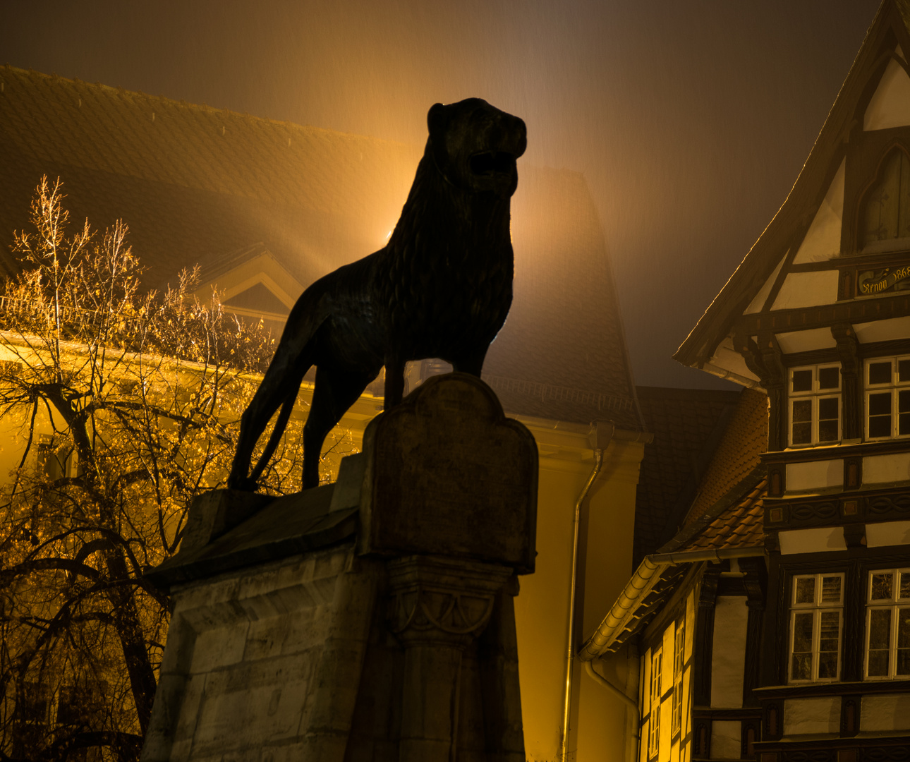 Braunschweiger Löwe Foto & Bild | architektur, architektur bei nacht ...