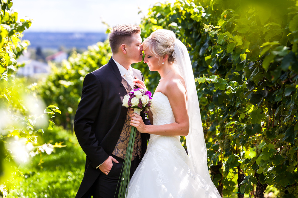 Brautpaar Im Weinberg Foto & Bild | hochzeit, wedding, sonnenschein Bilder auf fotocommunity