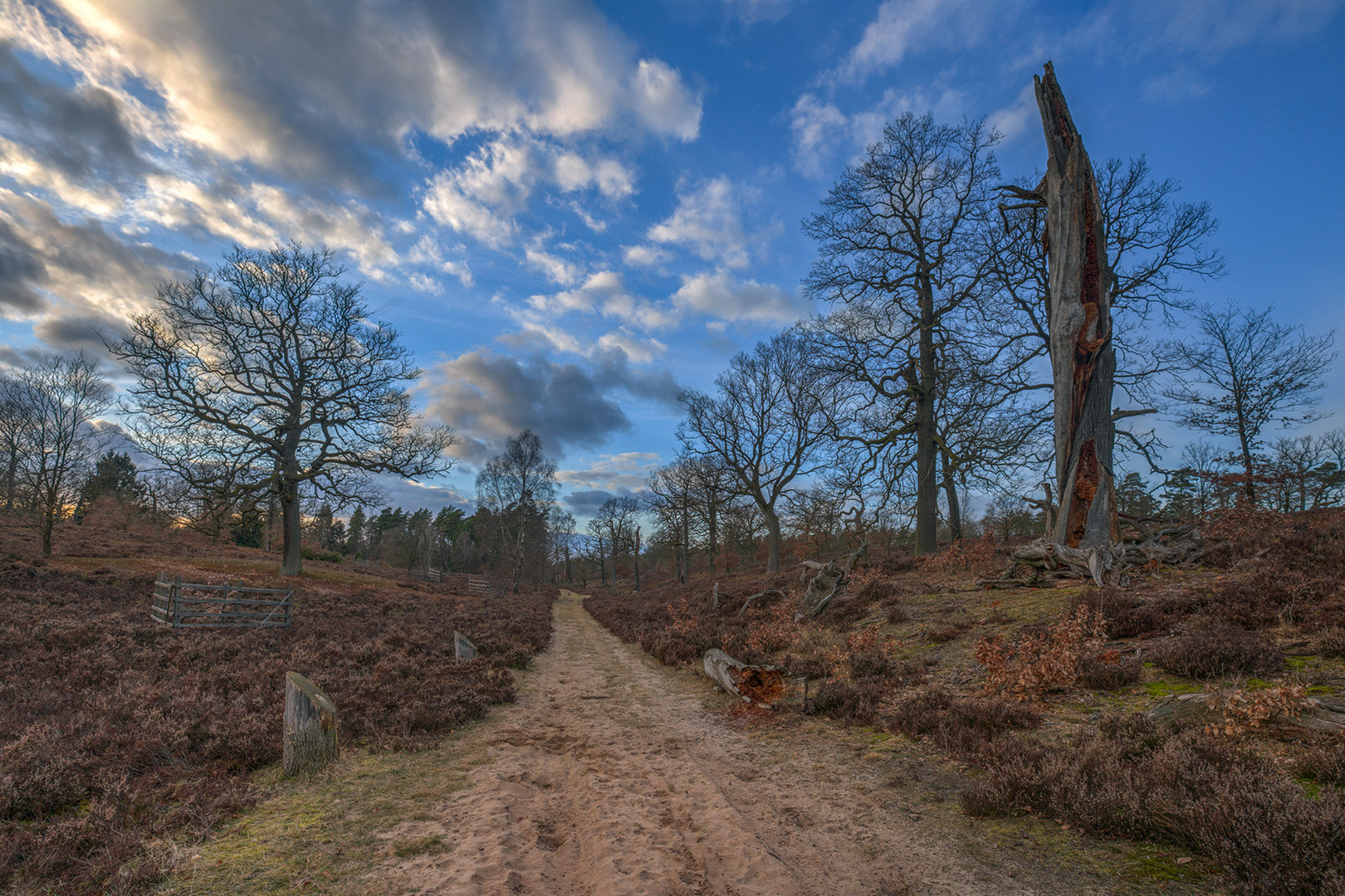 Breeser Grund Foto & Bild | canon, bäume, landschaft Bilder auf ...