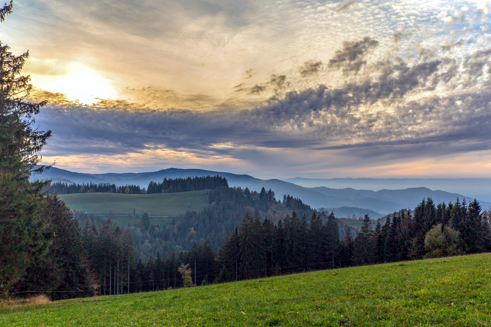 Breitnau Richtung Buchenbach II Foto & Bild | deutschland, europe ...