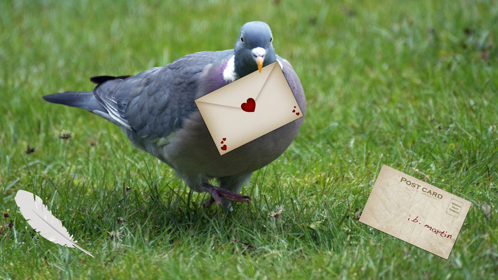 Brieftaube - schreib mal wieder Foto & Bild | karten und kalender ...