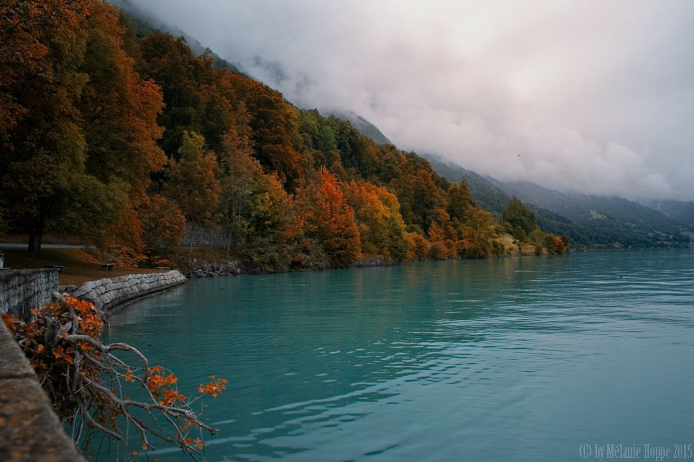 Brienzer See Foto & Bild | europe, schweiz & liechtenstein ...