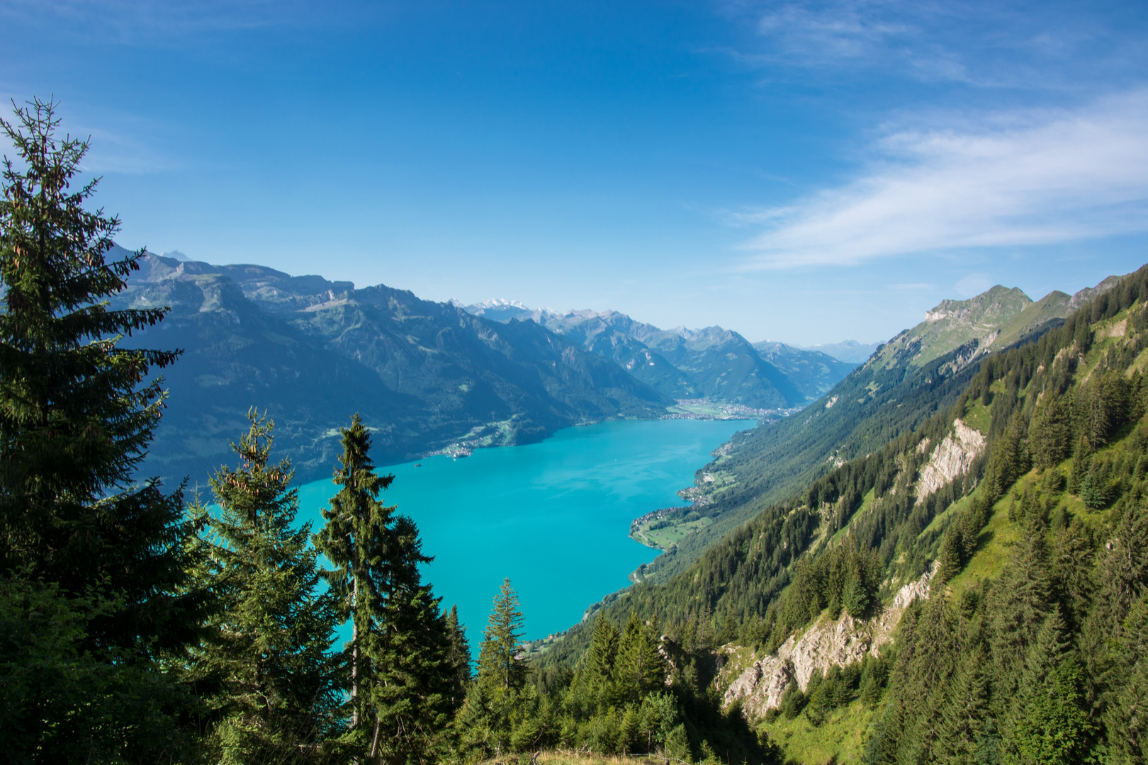 Brienzersee Foto & Bild | landschaften, sommer, panorama Bilder auf ...