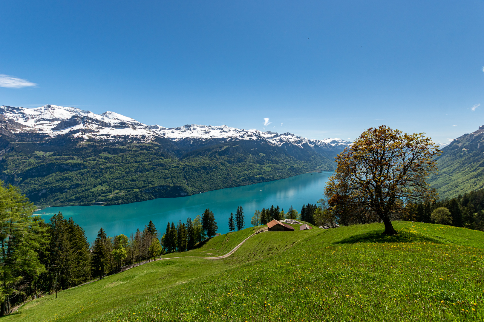 Brienzersee Foto & Bild | landschaft, bach, fluss & see, outdoor Bilder ...