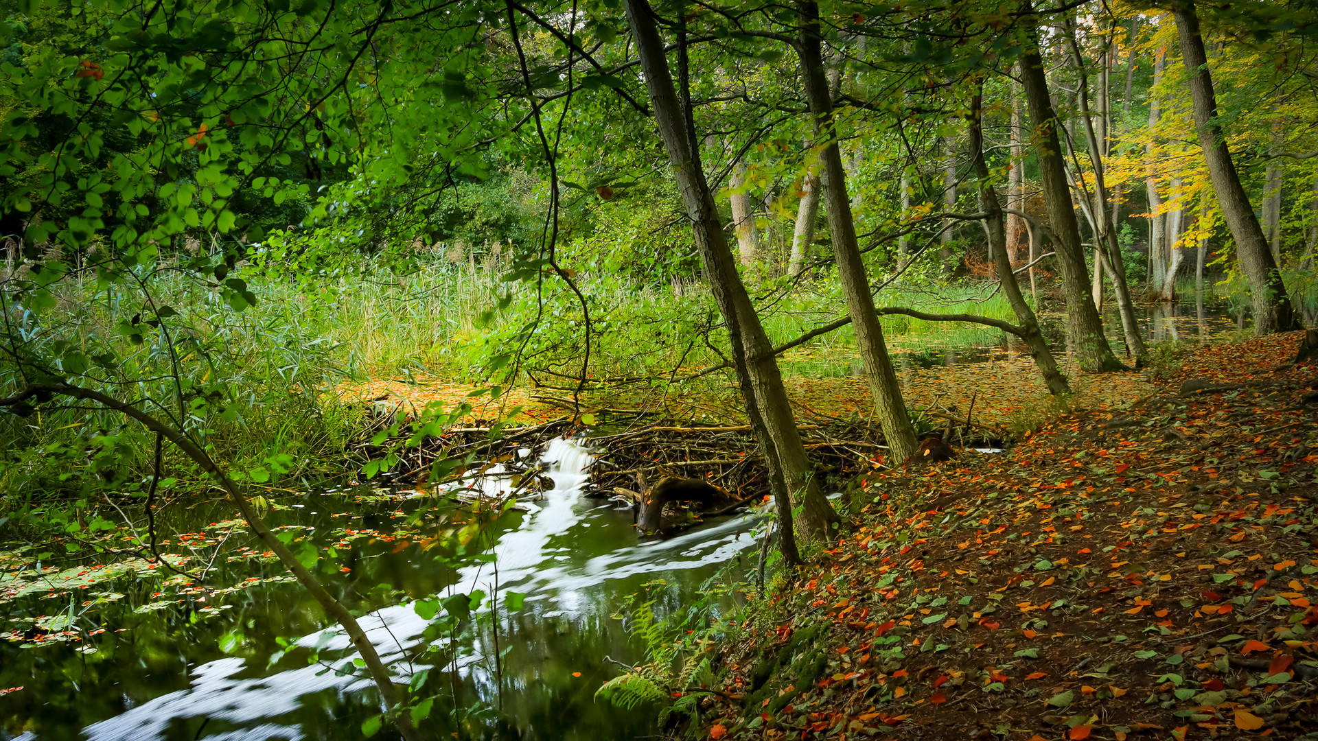 Briese Foto & Bild | deutschland, europe, brandenburg Bilder auf ...
