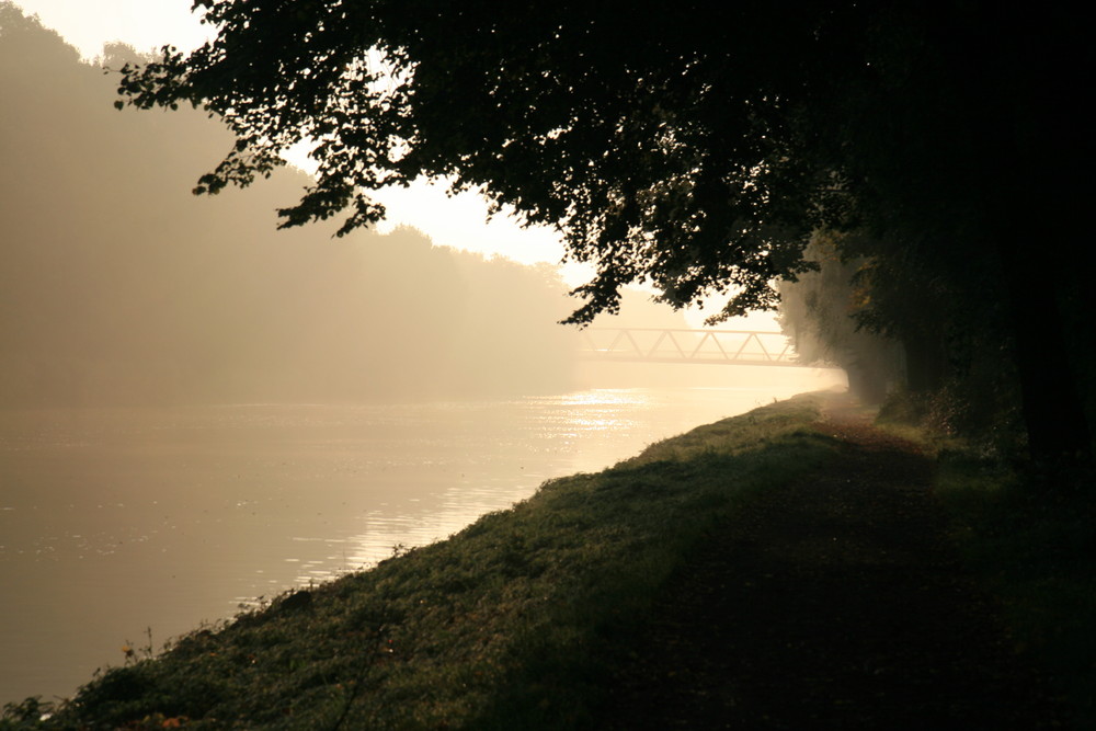 Brücke im Nebel Foto & Bild | archiv projekte naturchannel ...