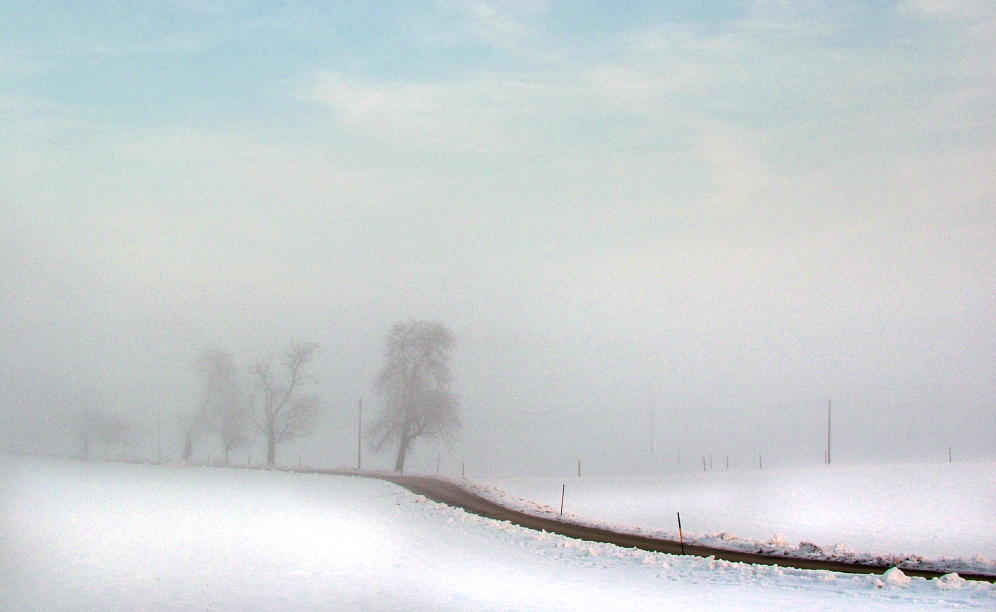 Bruma Foto % Immagini| deutschland, europe, bayern Foto su fotocommunity