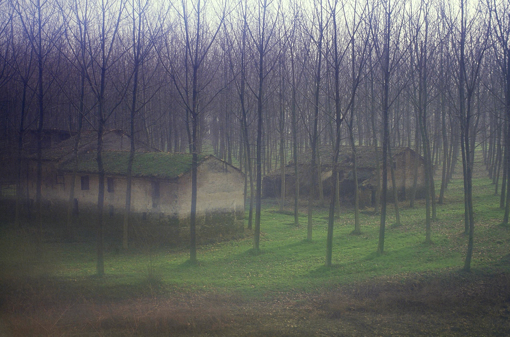 Bruma mattutina Foto % Immagini| paesaggi, campagna, natura Foto su ...