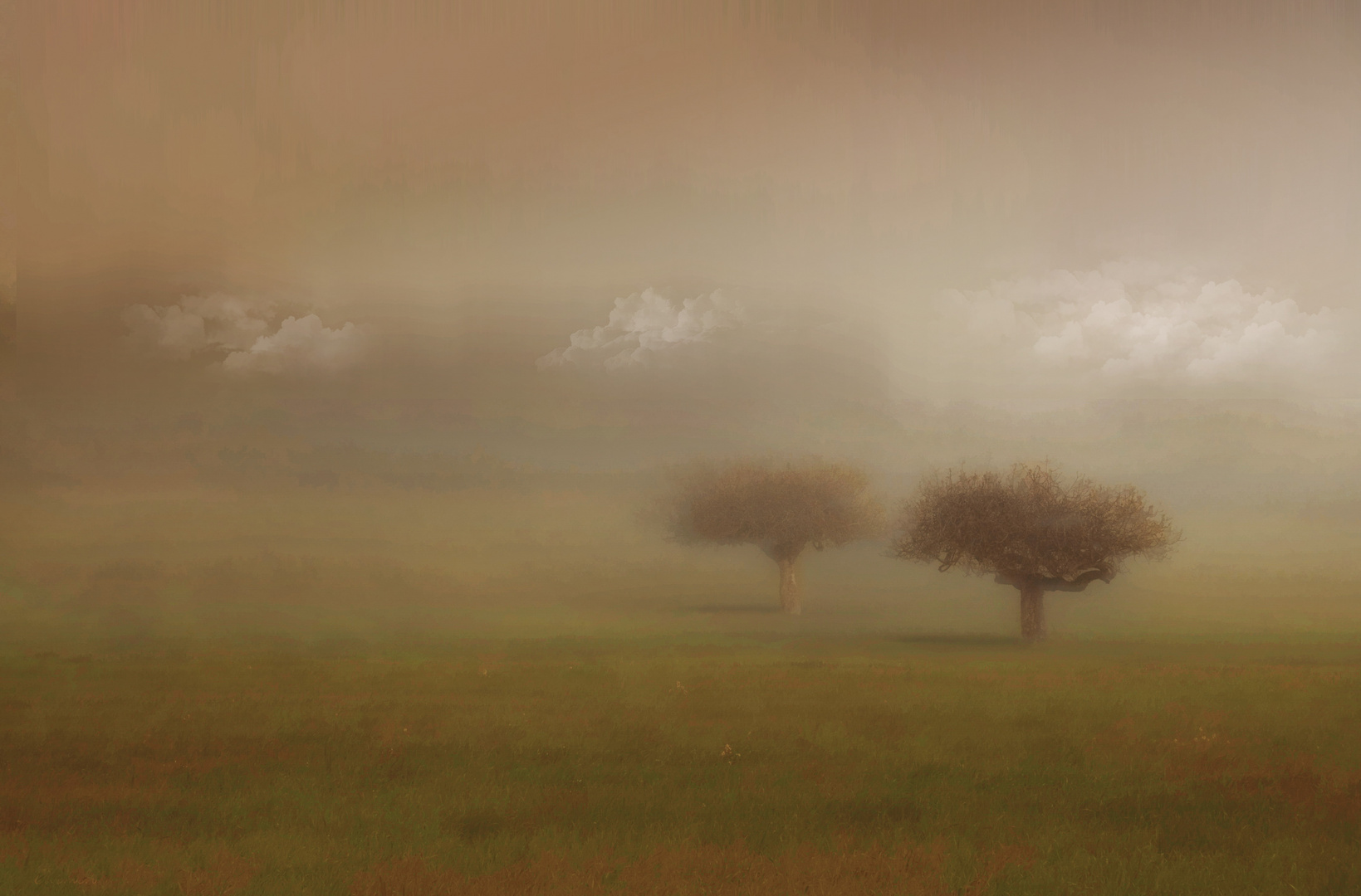 Brumas Imagen & Foto | naturaleza, paisajes Fotos de fotocommunity