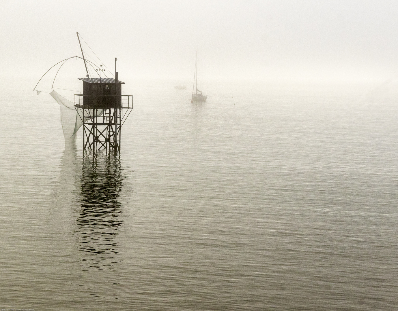 Brume photo et image | nature, brume, paysages Images fotocommunity