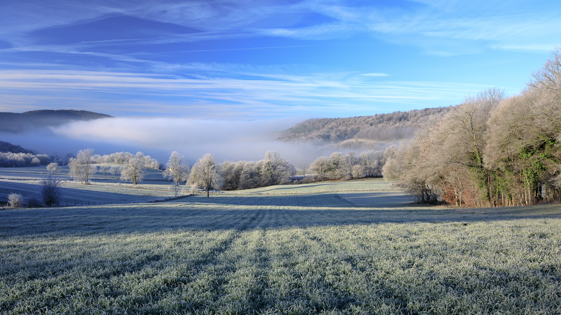 Brume toujours... photo et image | paysages, 26122018-n6a9580, nature ...