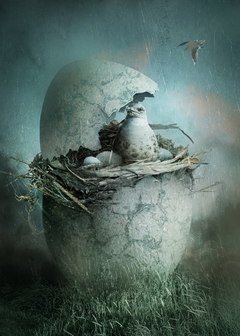 Brutstätte Foto & Bild | fotomontage, surreal, composing Bilder auf fotocommunity