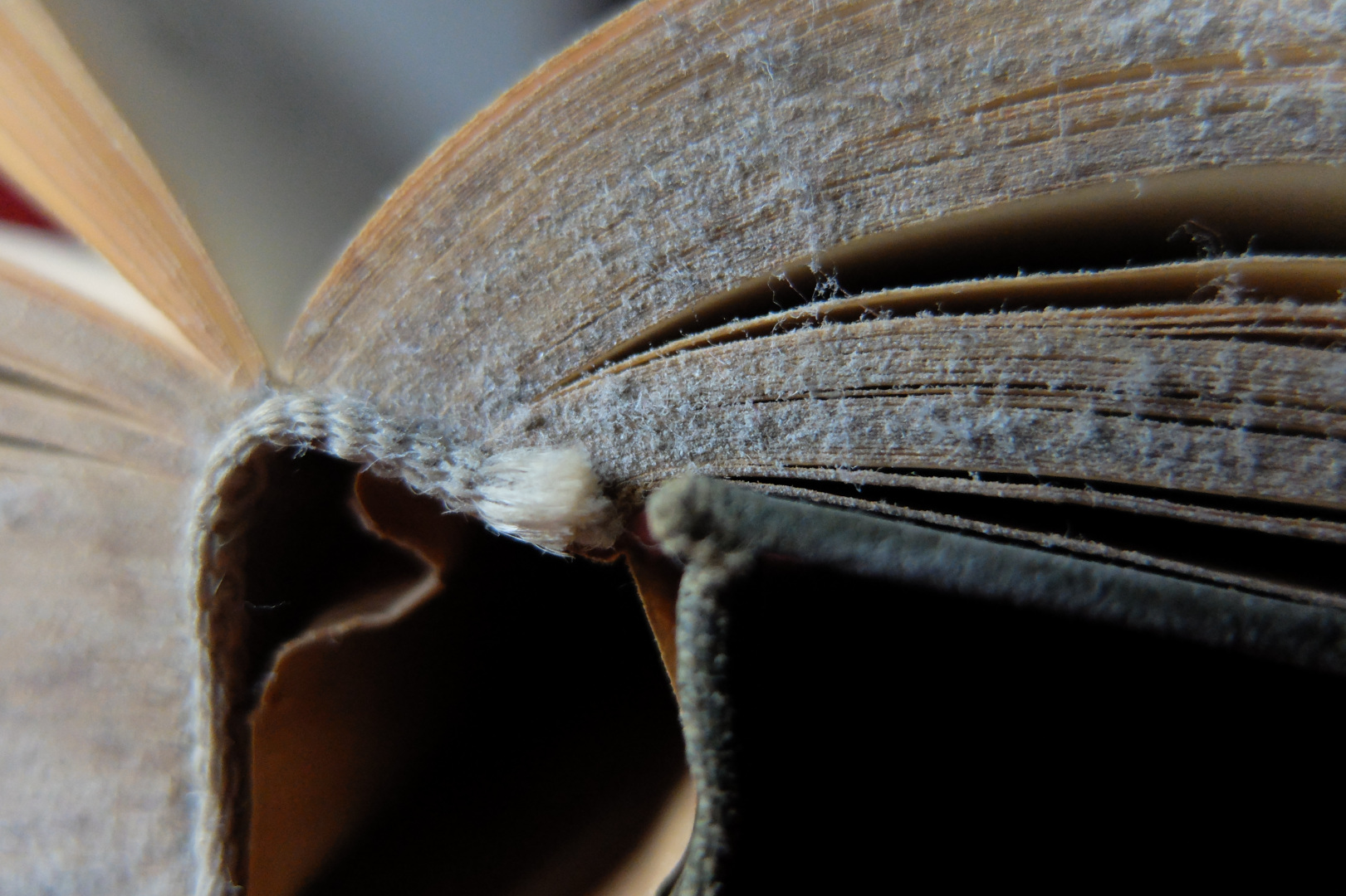 Buch Foto & Bild | stillleben, bücher, motive Bilder auf fotocommunity