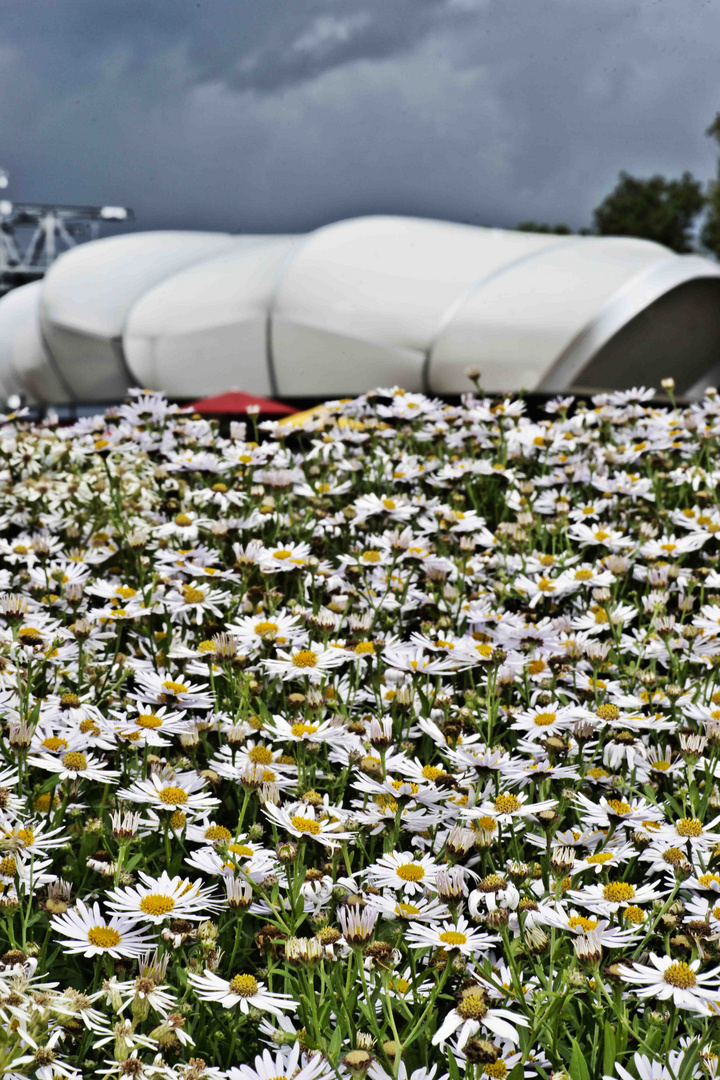 BuGa 2011 in Koblenz 04 Foto & Bild | deutschland, europe, rheinland ...