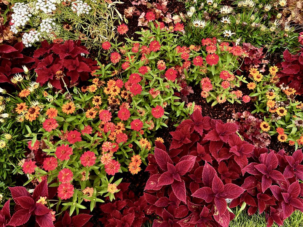 BUGA 2023 Foto & Bild | deutschland, europe, baden- württemberg Bilder ...