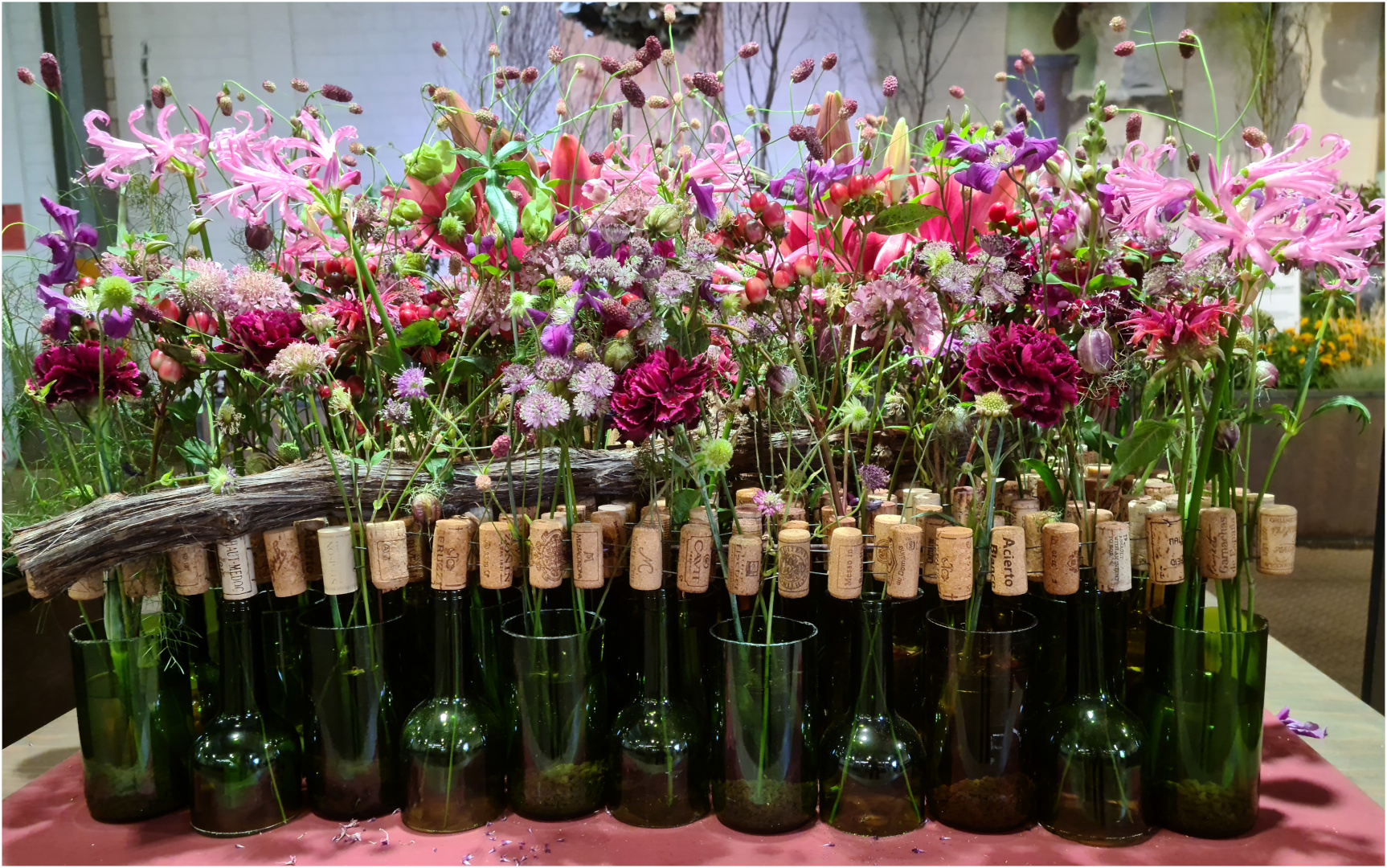 BUGA 23 - "einmaliger Genuss?" Foto & Bild | deutschland, europe, baden- württemberg Bilder auf ...