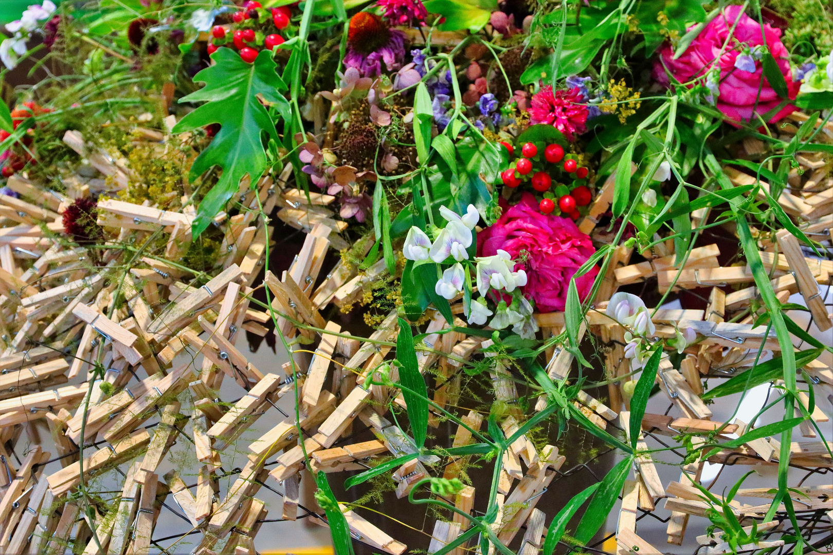 BUGA Installation 1 Foto & Bild | pflanzen, pilze & flechten, sonstiges ...