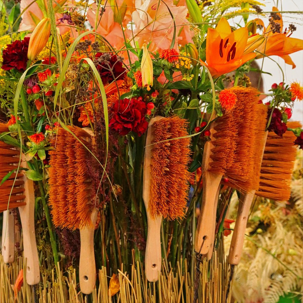 BUGA Installation 3 Foto & Bild | pflanzen, pilze & flechten, sonstiges ...