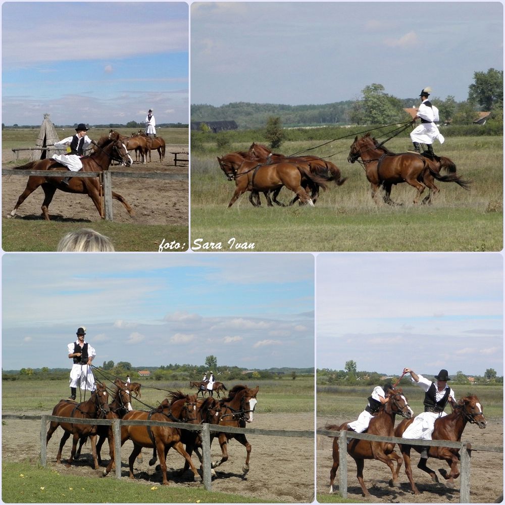 ---BUGAC PUSZTA--- Foto & Bild | europe, hungary, hungary & slovakia ...