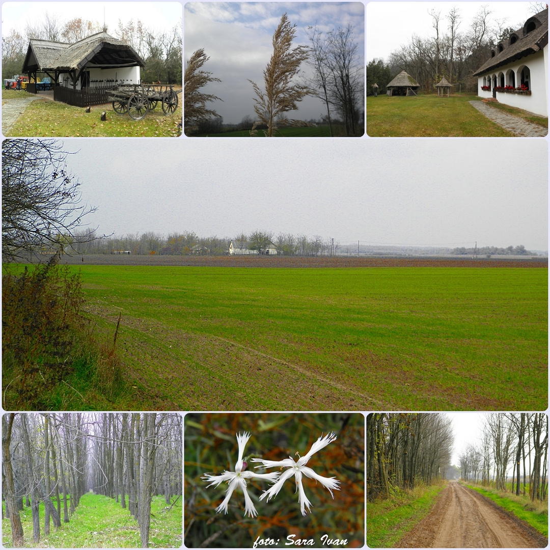 --Bugac-puszta --gestern---- Foto & Bild | europe, hungary, hungary ...
