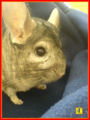 Denise Weiß - Fotos & Bilder - Fotografin aus hamburg, Deutschland ...