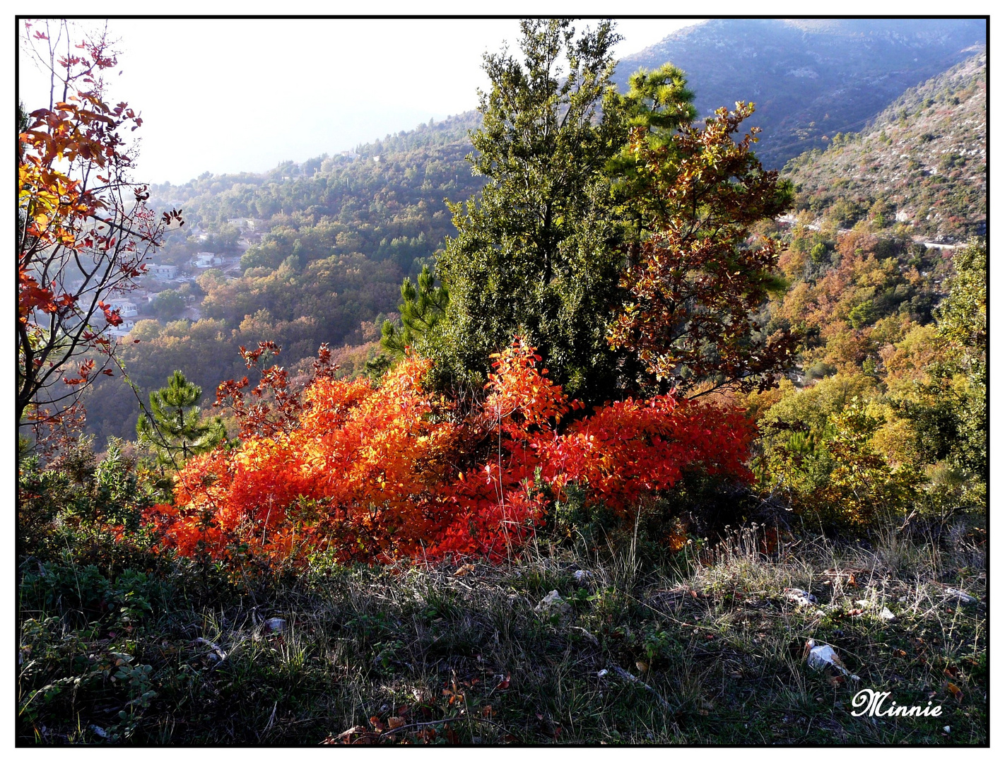 "Buisson en feu !! " photo et image | paysages, paysages de campagne ...