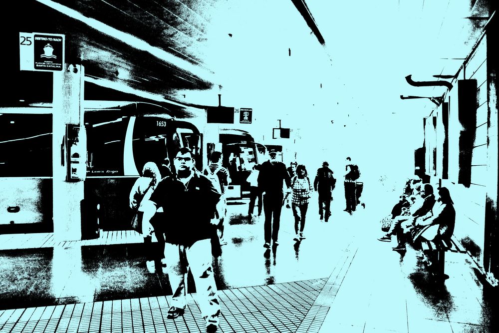 Bullig Foto & Bild | spezial, dokumentation, outdoor Bilder auf ...