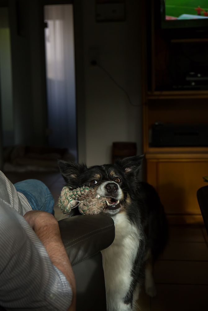 Bundesliga ist doof Foto & Bild | erwachsene menschen, tiere, haustiere Bilder auf fotocommunity